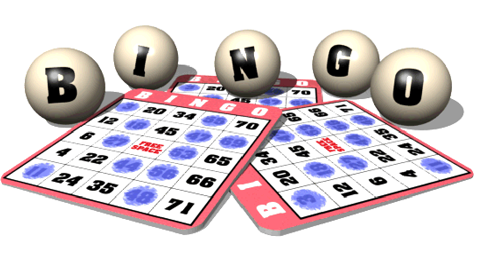 A Beginner s Guide To Bingo Technically Easy